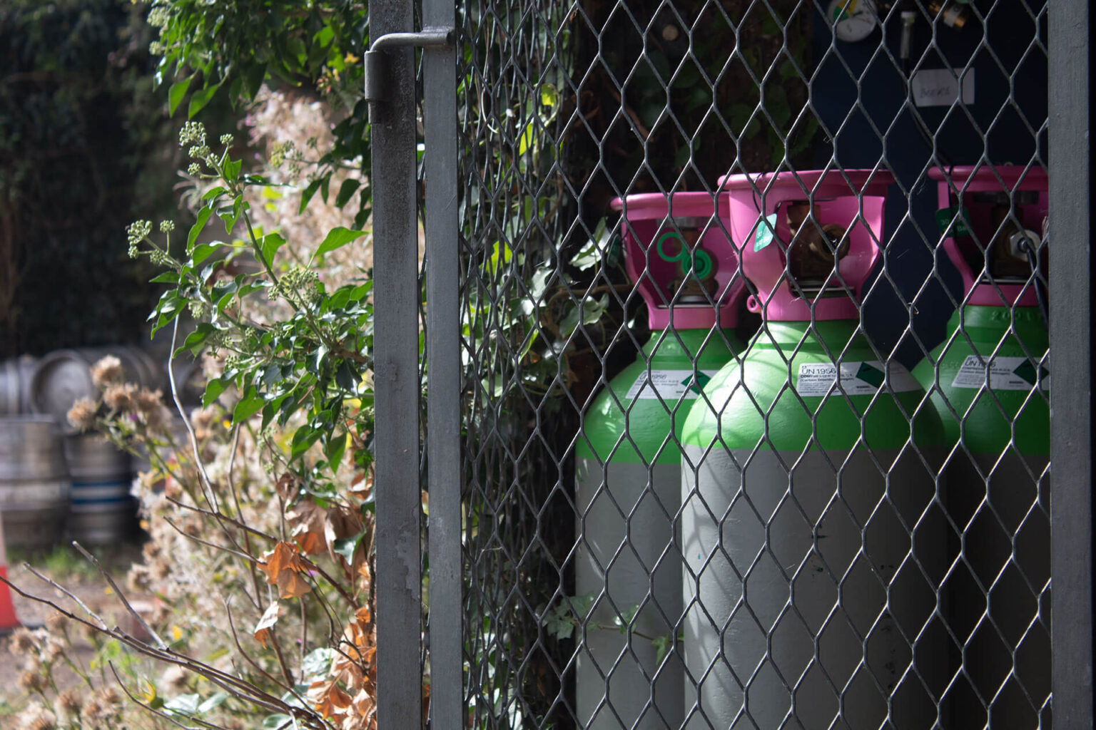 Beer Gas | Beer Gas Cylinder Suppliers | innergy